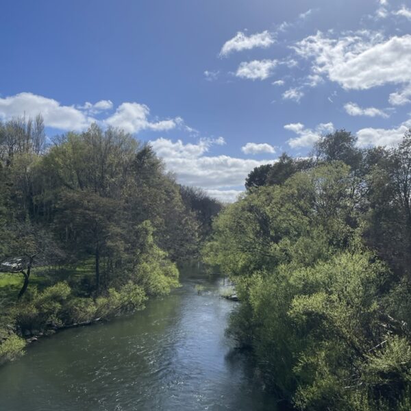 Exploring the Tranquil Beauty of the Meander River in Deloraine - The ...